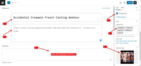 Single Adult Video Embedder Plugin