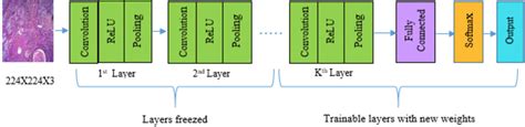 Block Diagram Of Transfer Learning Of Dcnns For Binary Class Prediction