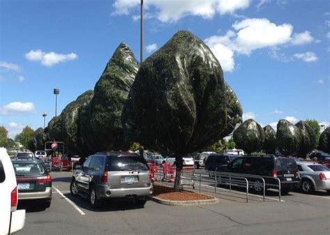 Bad Rendering R Glitchinthematrix