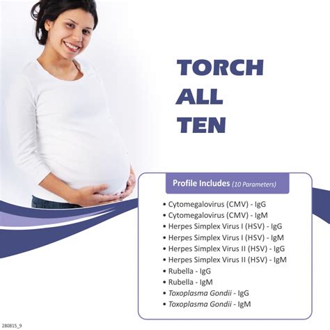 Torch All Ten Test Profile Price Rs Thyrocare