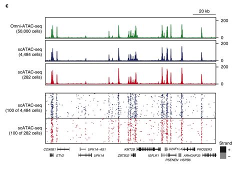 Coverageplot For The Fragment Presence Per Signele Cell · Issue 166