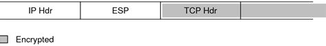 Transport And Tunnel Modes In Ipsec Securing The Network In Oracle