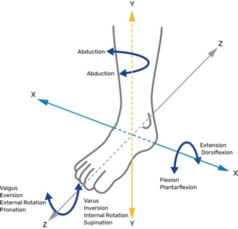 Describing Movement Flashcards Quizlet