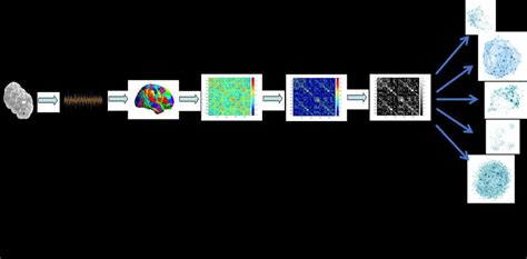 Overview Of Brain Network Construction Steps Descriptions Outline The