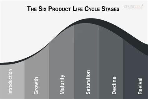The Stages Of Life 11 Stages In The Employee Life Cycle How To