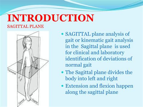 P Pt Final Sagittal Plane Analysis Of Gait Pptx