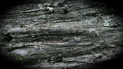 Shadertoy Agate Dragon Games