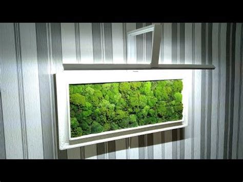 Картина из живого мха своими руками/Picture of live moss with your own ...