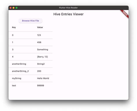 Unpacking Flutter Hives Nviso Labs