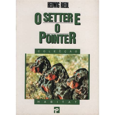 Setter E O Pointer Kuantokusta