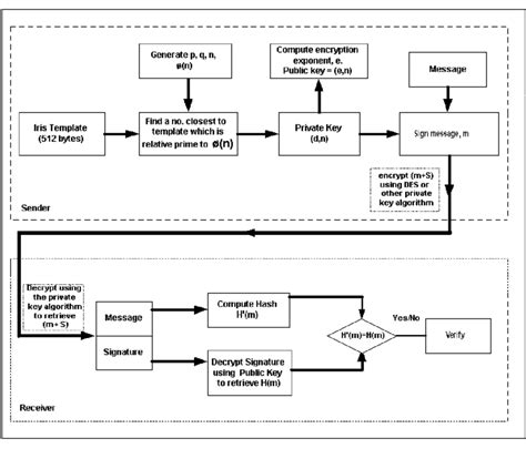 biometric signature using rsa algorithm download scientific diagram