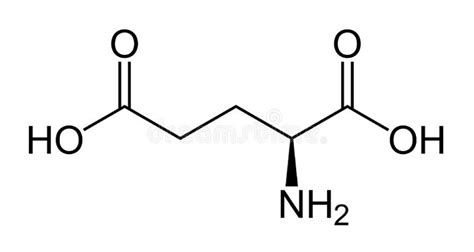 Glutamic Acid Molecular Structure Diagram Chemical Formula