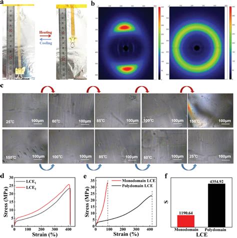 Characterization Of Actuation Properties Of Lce Based On Amine‐acrylate