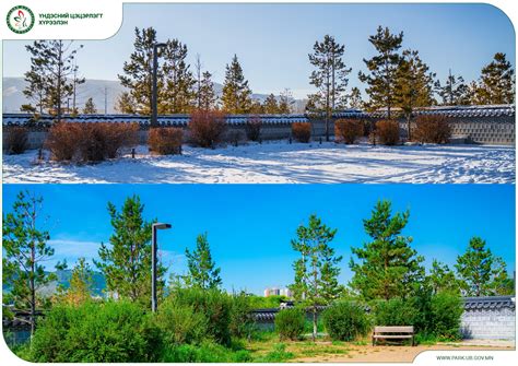 Үндэсний цэцэрлэгт хүрээлэн ОНӨТҮГ