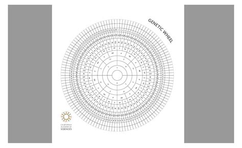 Lesson Plan Genetic Wheel California Academy Of Sciences