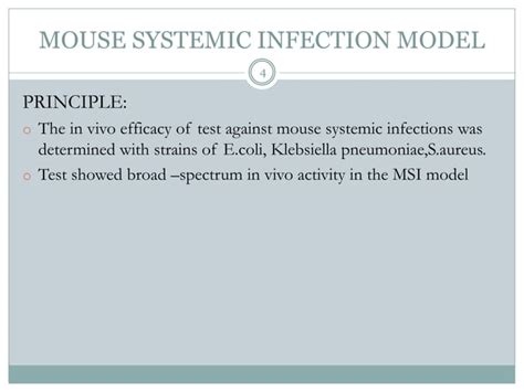 Anti Microbial Screening Models Pptx