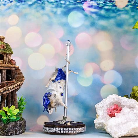 V36k Stripper Mouse Pole Burlesque Showgirl Taxidermy Oddities