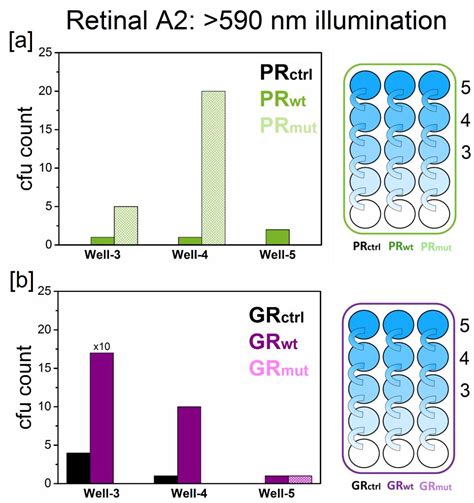 Figure 44 From A Novel Chemotaxis Based Directed Evolution Assay