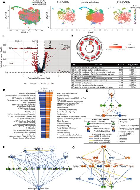figure 1 from single cell atlas reveals meningeal leukocyte
