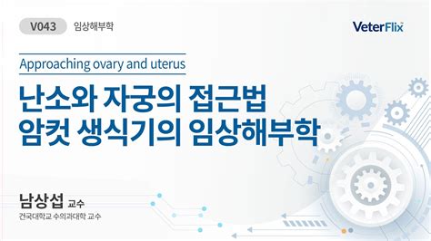 [베터플릭스] 난소와 자궁의 접근법 암컷 생식기의 임상해부학 Youtube