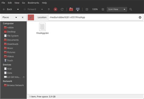 Ringo Coding First Steps Ch 11