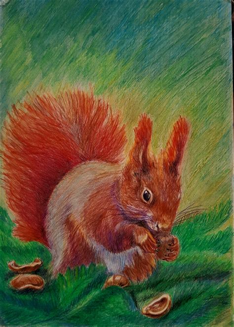 Иллюстрация Белка с орехами. | Illustrators.ru