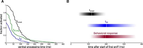 dynamics of glomerular activation relative to odorant response times