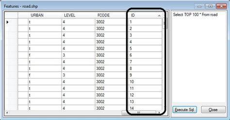 How To Convert The Datatable Result To Featurs Ids Winforms