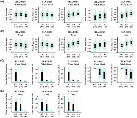the expression quantitative trait loci eqtl and sqtl effects of