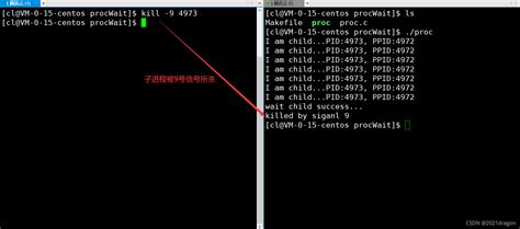 linux进程控制（精讲） eductorlinux进程控制 csdn博客