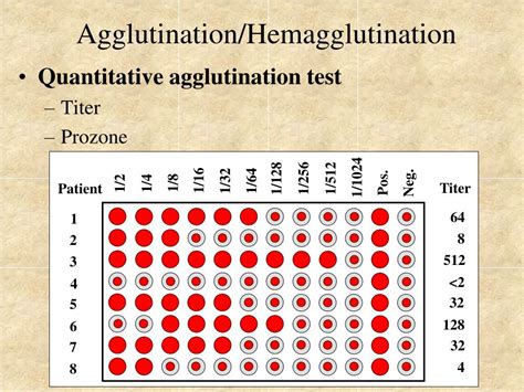 Ppt Agglutination Tests Powerpoint Presentation Free Download Id 5903463