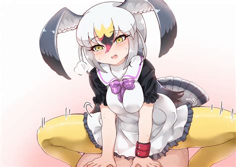 Rule 34 Bird Tail Black Tailed Gull Kemono Friends Blush Breath Covered Penetration Cowgirl