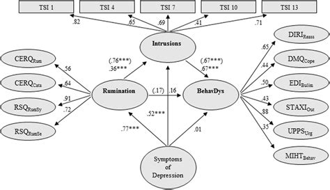 Frontiers | Understanding Dysregulated Behaviors and Compulsions: An ...