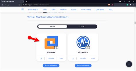 How To Install Kali Linux On Vmware Workstation In Windows 11 Wikigain