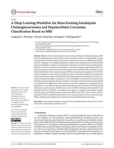 Pdf A Deep Learning Workflow For Mass Forming Intrahepatic
