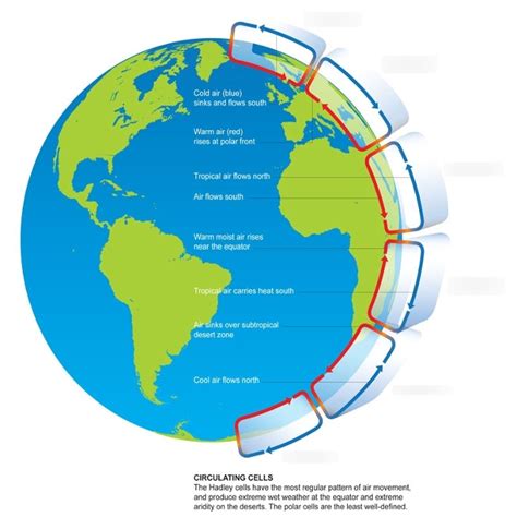 Diagram Of Global Circulation Patterns Quizlet