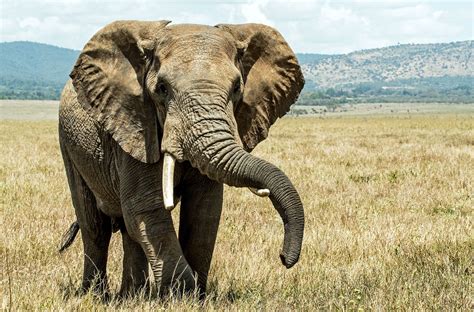 【postgresql 11 新機能】パーティションニングされたテーブル 親テーブル への Index 作成を試してみた Sios