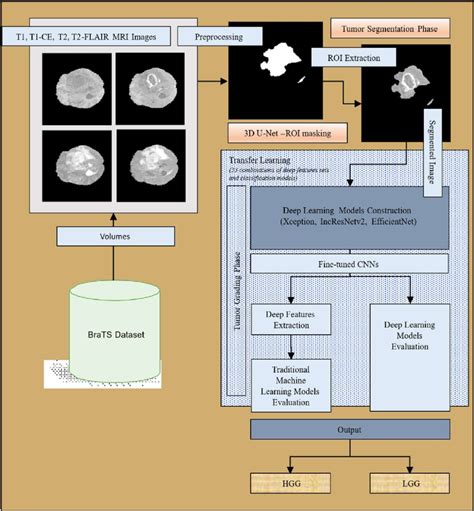 the flowchart of the proposed methods for glioma segmentation and