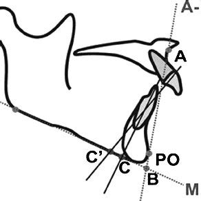 Construction Of Points C And C Download Scientific Diagram