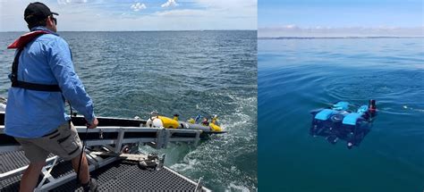 port phillip bay seafloor integrity project 2021 2024