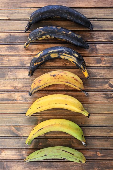 Plantains 101 Here S Everything You Need To Know Artofit