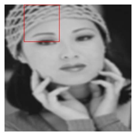 Visual Comparison Of Woman A Original Hr Image B Results Obtained