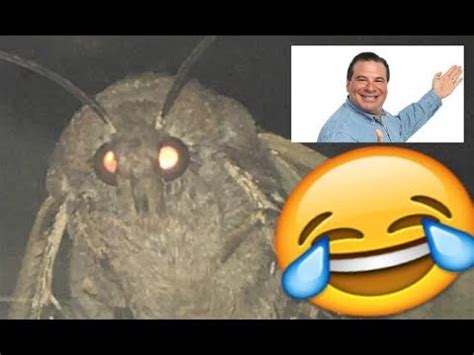 Moth Lamp Moth Lamp Know Your Meme