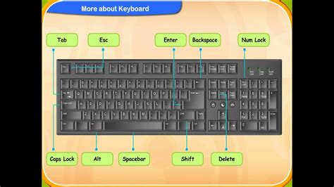 Computer Keyboard Parts