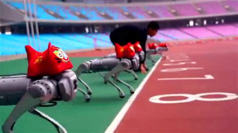 Supriya Rathi On Linkedin Weekend Quadruped Robots Robotics Sports Entertainment