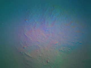 Octopi Object Property Reasoning With Large Tactile Language Models