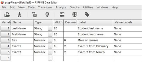 Pspp For Beginners