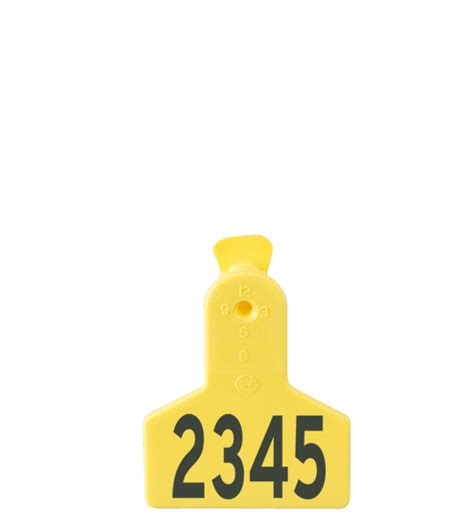 Z Tag One Piece Medium Tag Nz