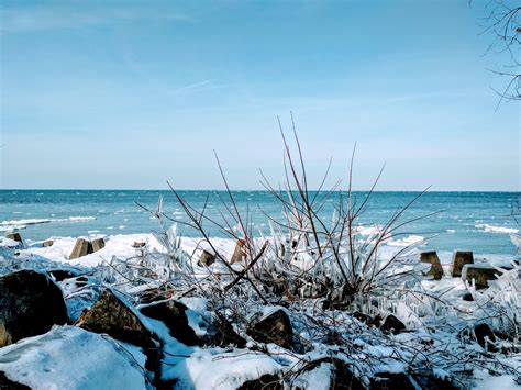 Frozen Beach Pics