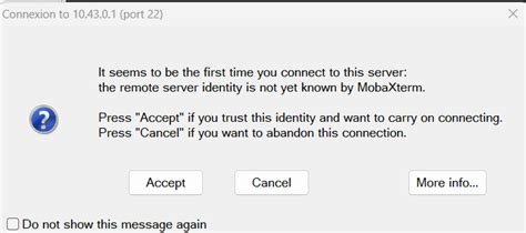 MobaXterm On Windows TU E PYNQ Pages